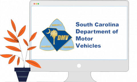 South Carolina License Plate Lookup - Search and Get Free Vehicle Records!
